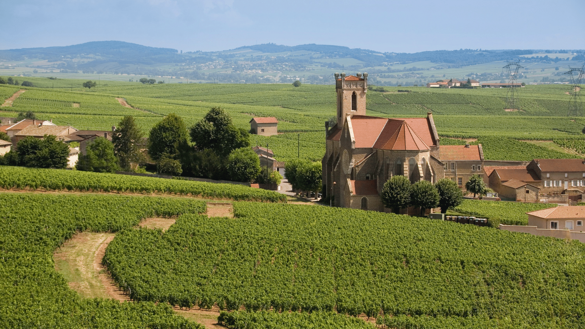 Vinhos da Borgonha - França | Vinteria Adega | Belo Horizonte